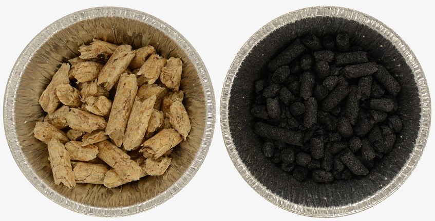 Biochar - What is it about?