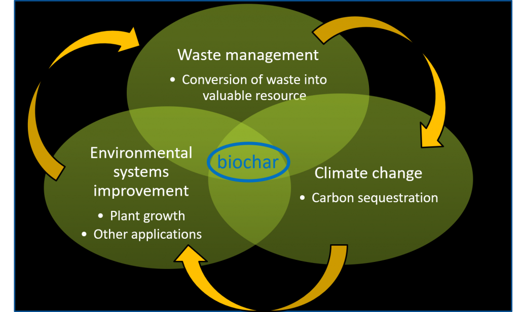 Biochar - What is it good for?