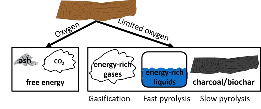 Biochar - How can it be produced?
